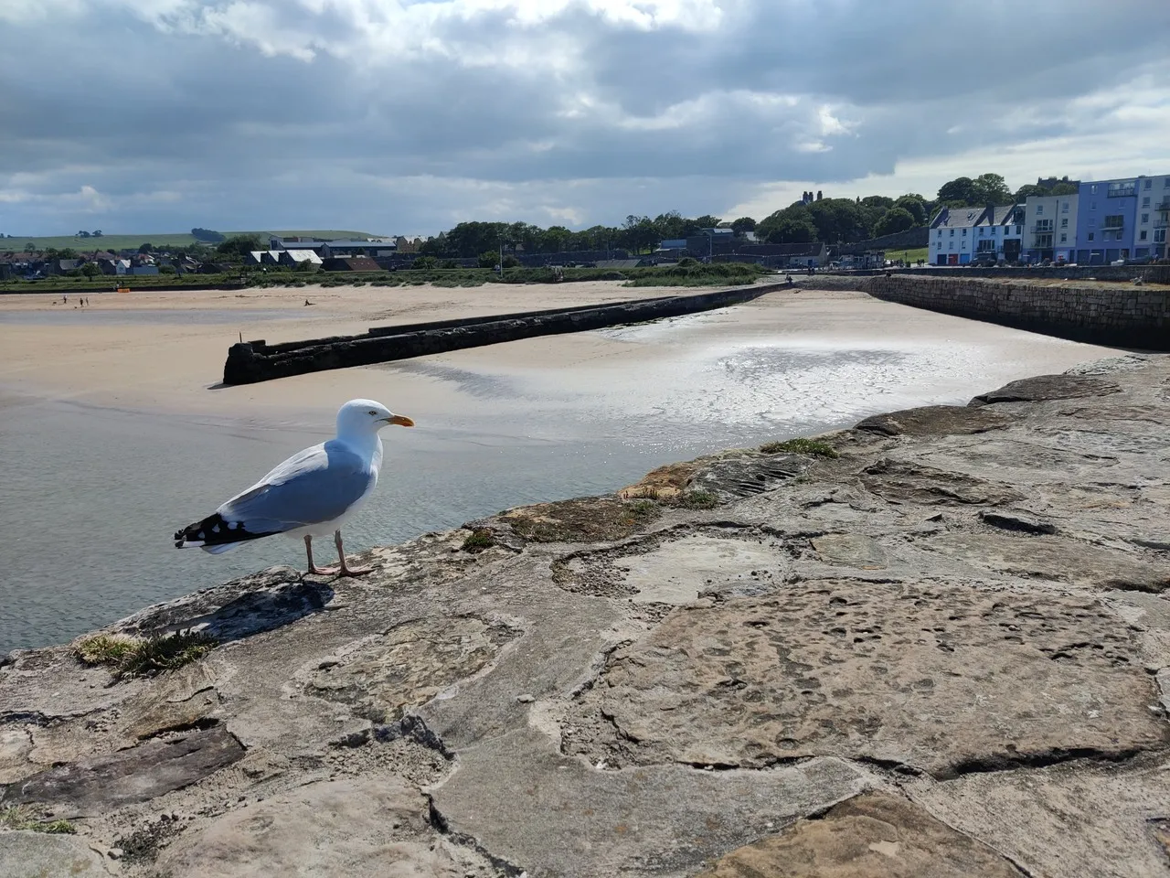 St Andrews Pier Edge Viewpoint - United Kingdom