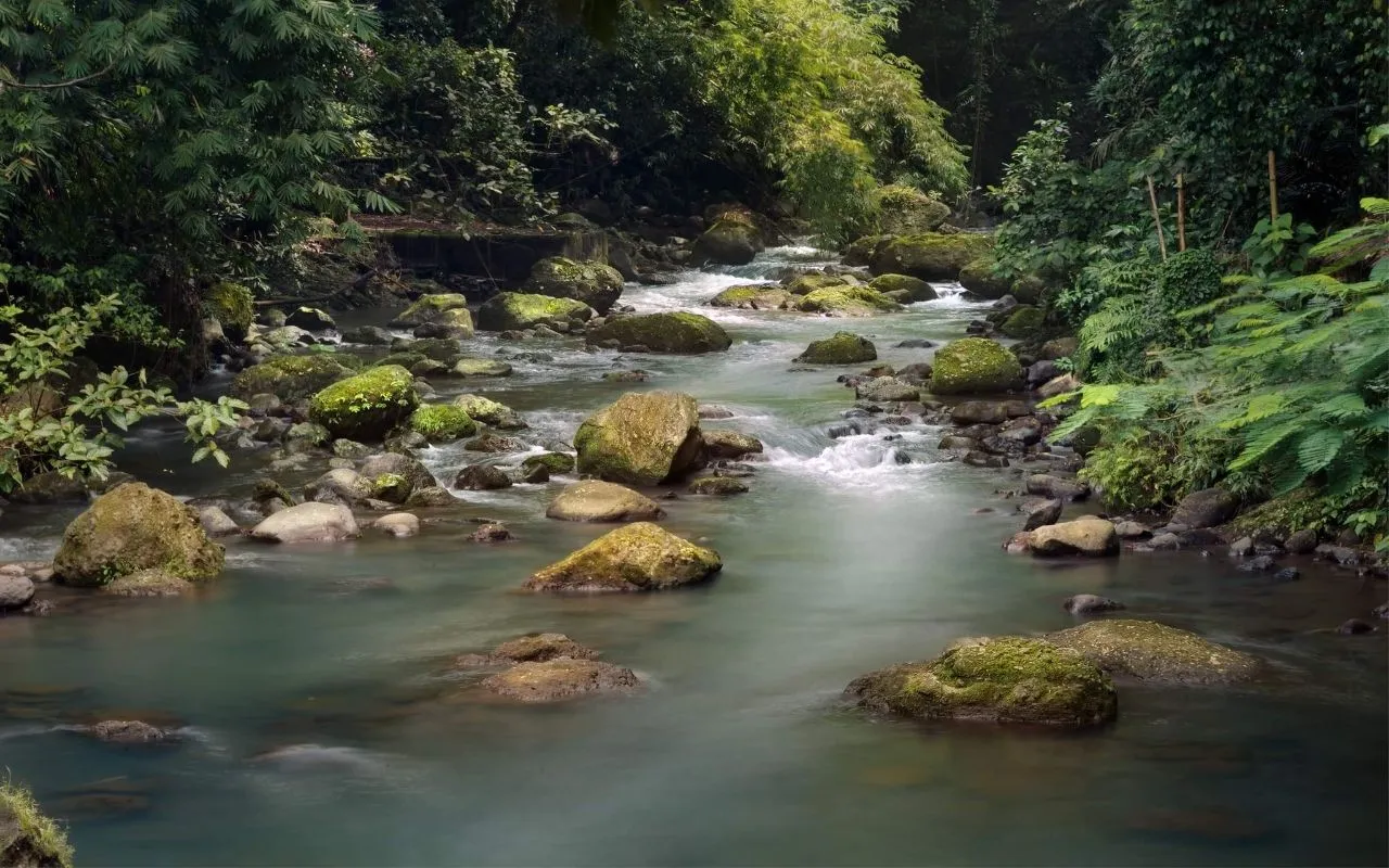 Pangil River - Philippines