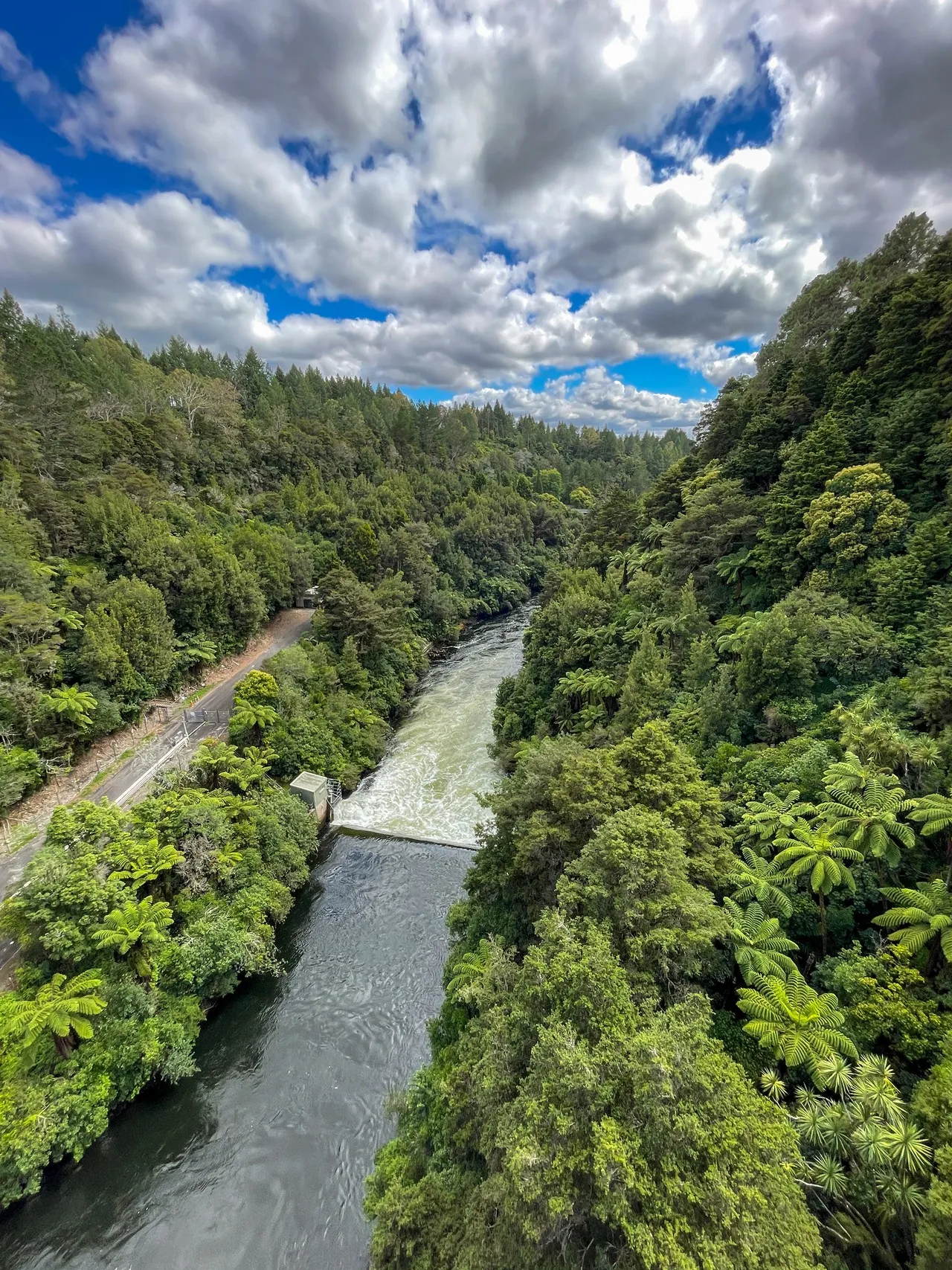 Waikato River - From Arapuni Suspension Bridge, New Zealand